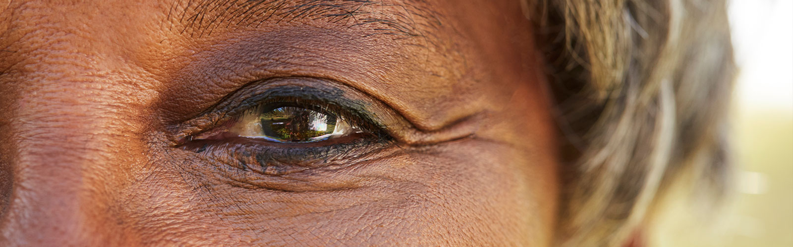 14 Vital Healthy Vision Facts You Should Know - Perrysburg Eye Center